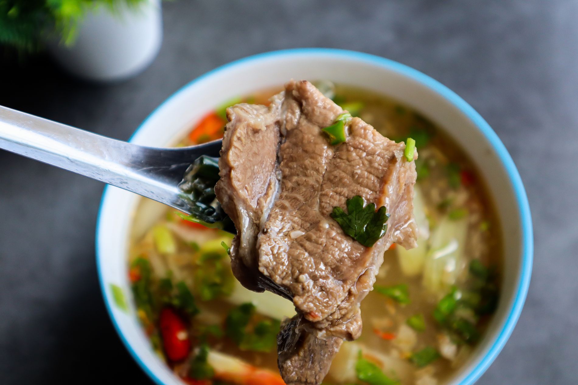 GAPS Nutritional Protocol - GAPS for Families